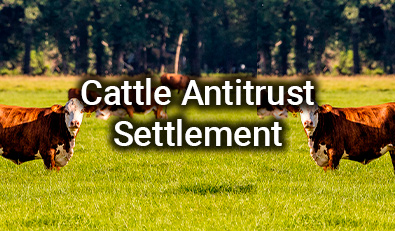 Cattle Agreement - Macmoor Capital